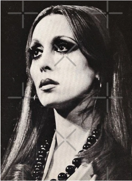 Fayrouz Sticker – Middle East Books and More